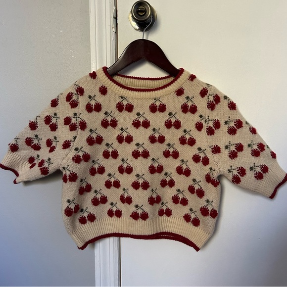 Cider | Sweaters | Cherry Cropped Sweater | Poshmark